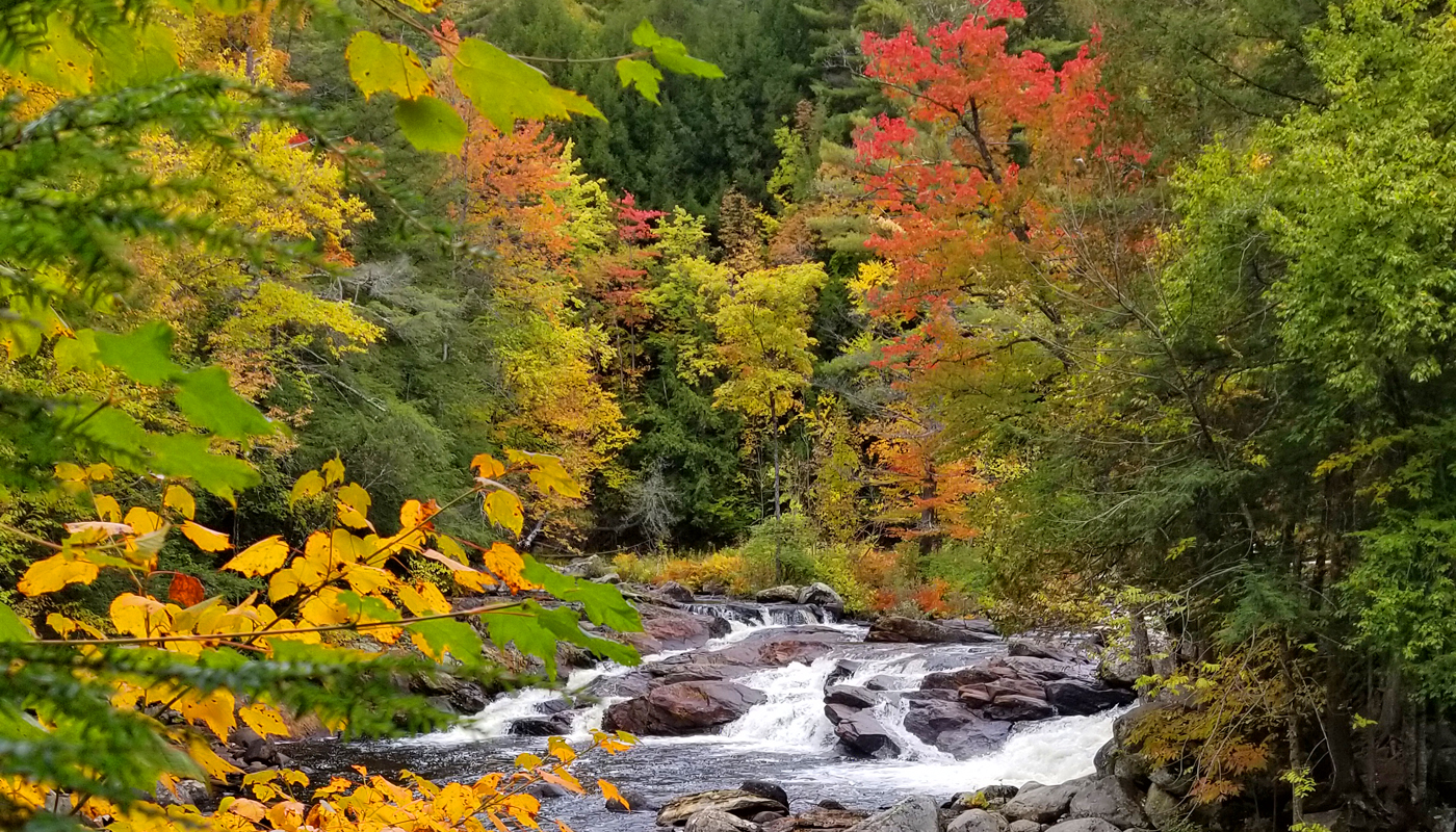 Self-Guided Cave Trail - Natural Stone Bridge & Caves